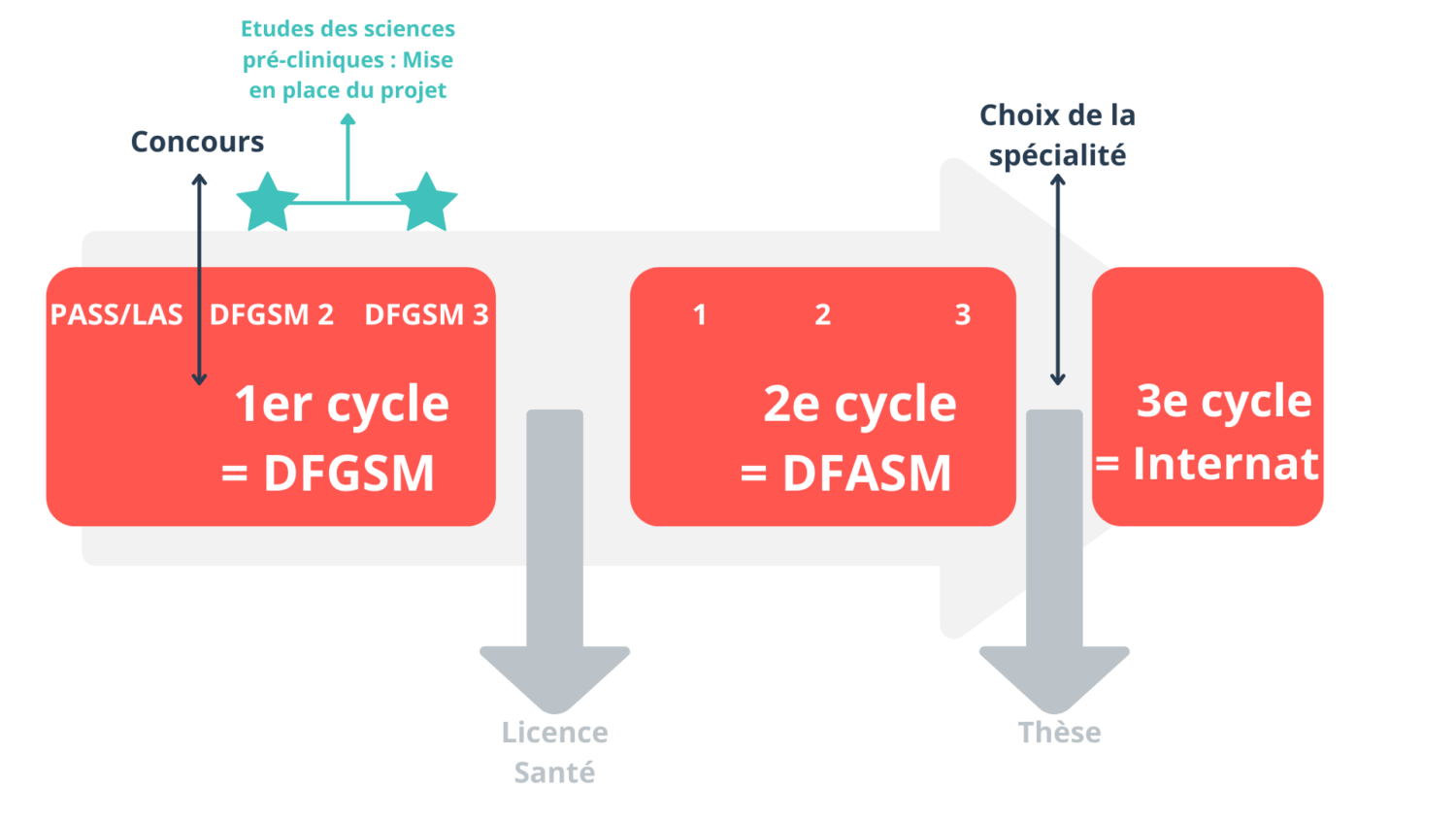 MUSE : Retour sur le projet lauréat du Docteur Fares Gouzi "Laboratoire ...